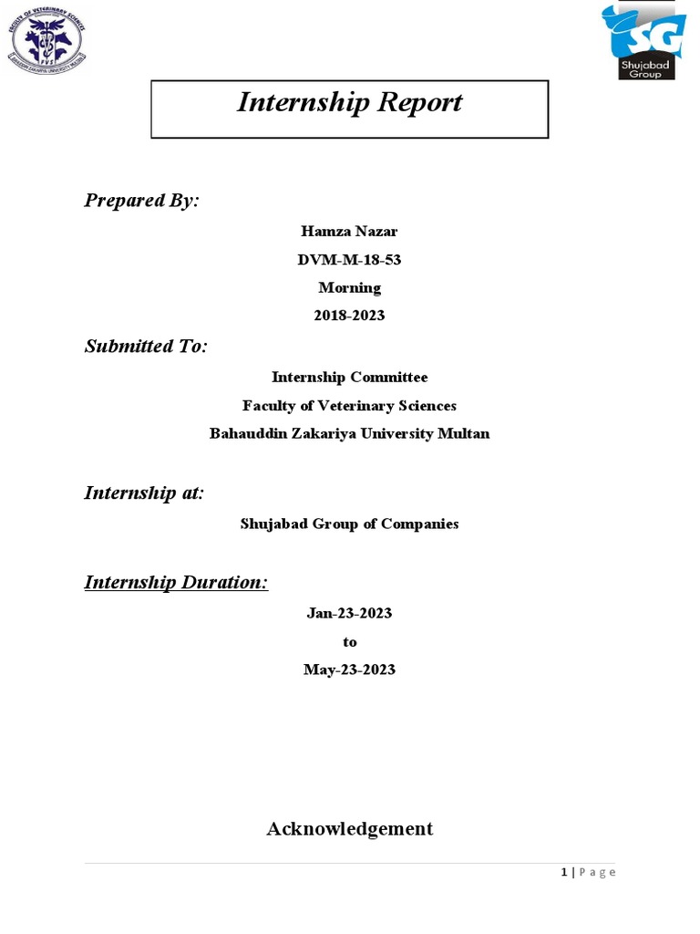 Intership Report 786 | PDF