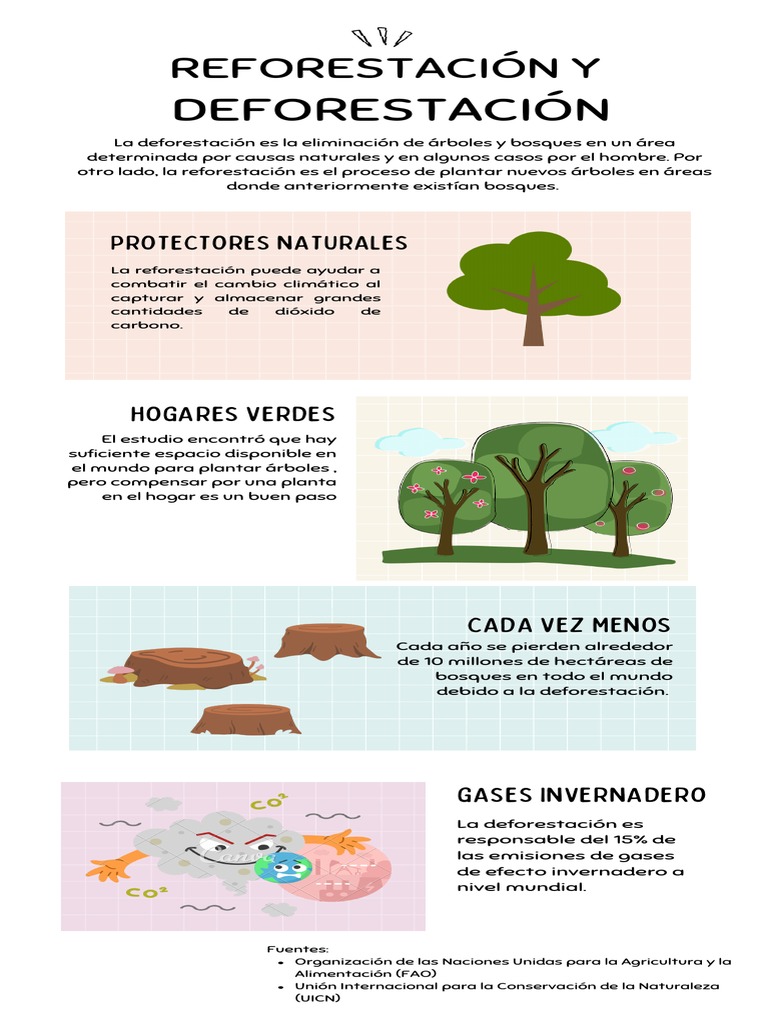 Deforestación | PDF