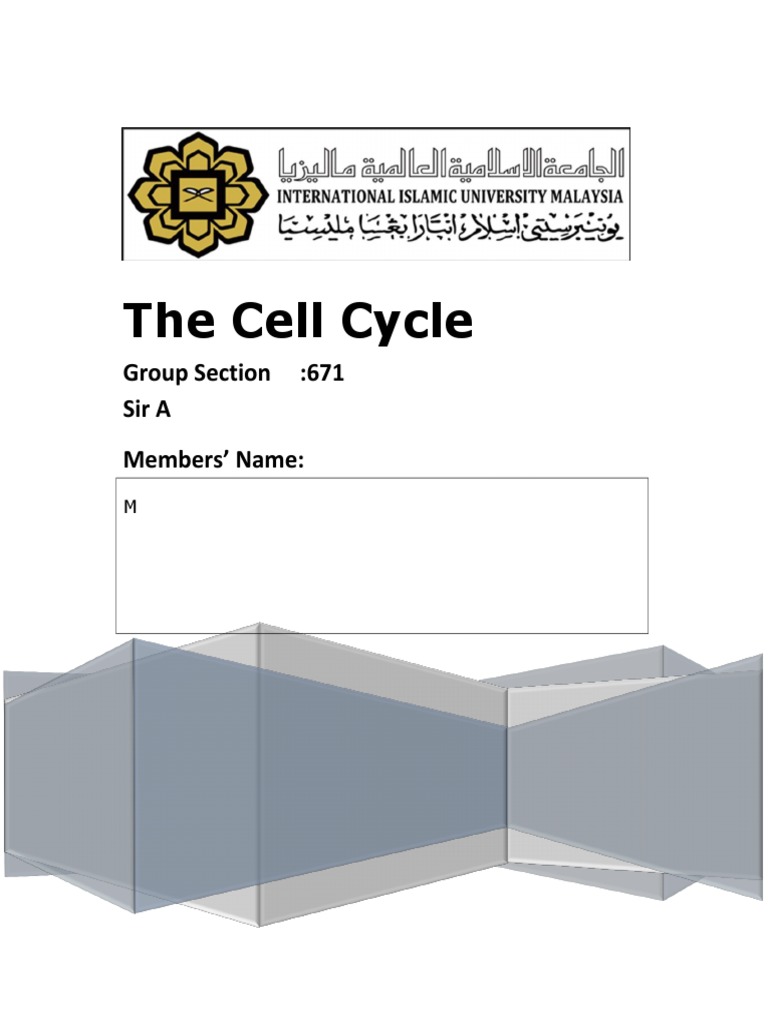 Cell Cycle Report Project | PDF | Cell Cycle | Mitosis