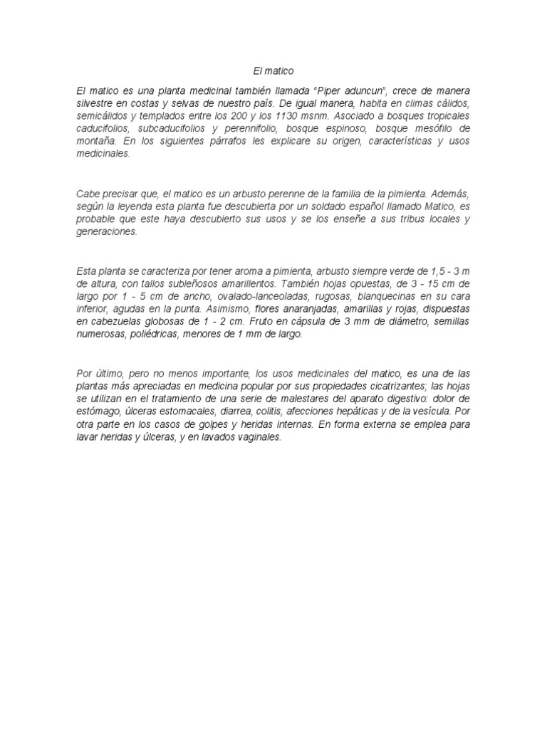 El Matico | PDF