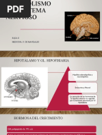 Fases Neurologicas de La Hipoglucemia | PDF