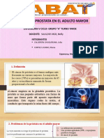 Obstrucción y Estasis Urinaria | PDF | Vejiga urinaria | Urología