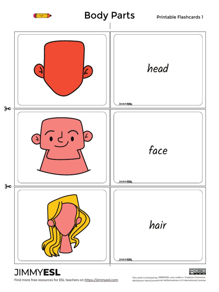 Printable Body Parts Flashcards PDF | PDF | Human Anatomy