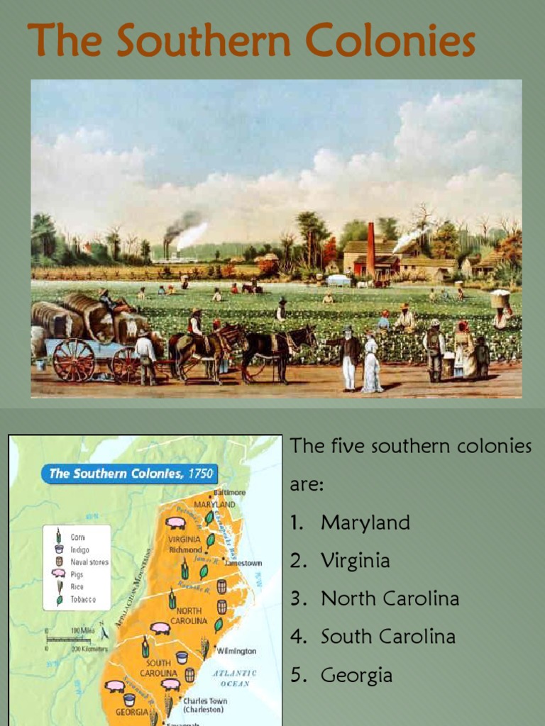 Overview of the Southern Colonies | PDF