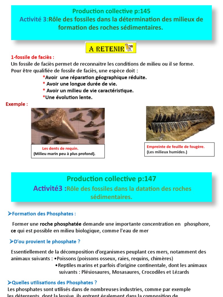 P2 1 APIC Chapitre3 Activité3 | PDF