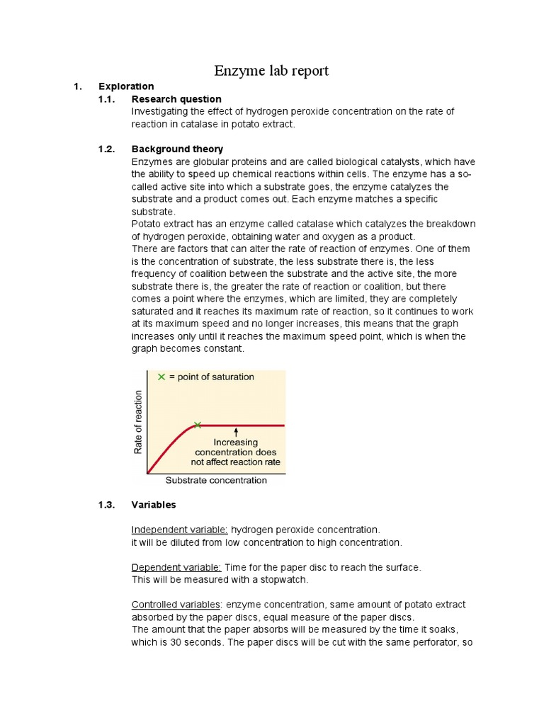 Enzyme Lab Report | PDF | Enzyme | Substrate (Chemistry)