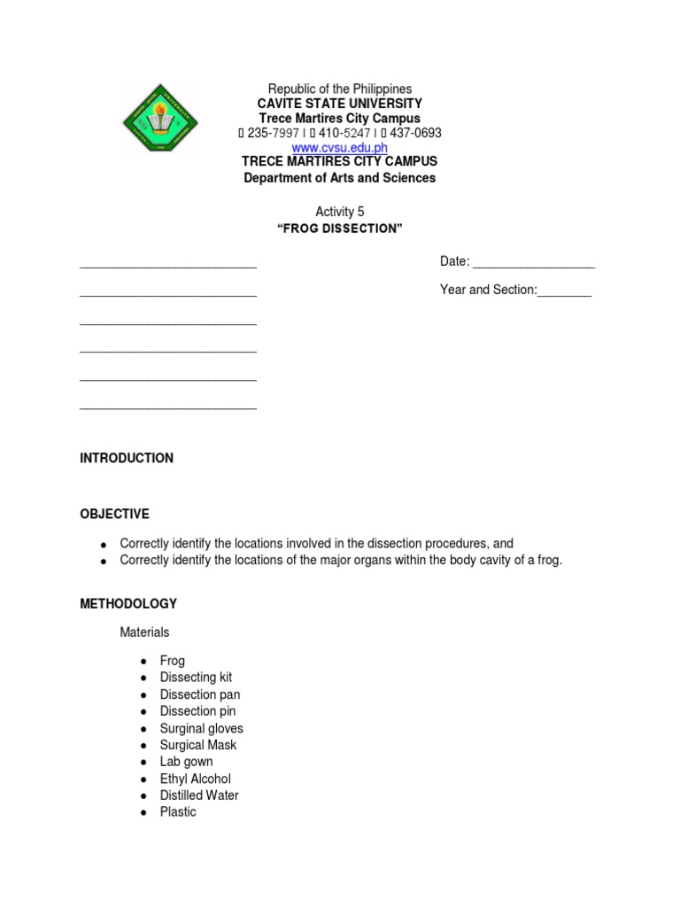 Frog Dissection Guide for Students | PDF | Small Intestine ...