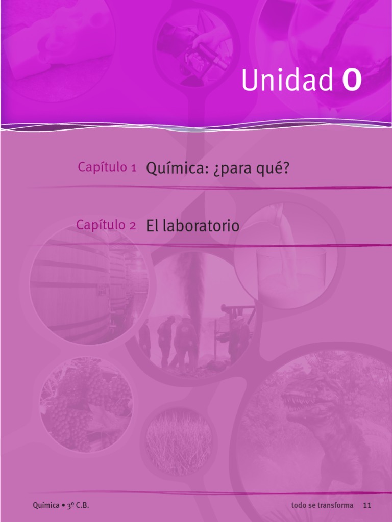 Todo+Se+Transforma Libro | PDF | Alimentos | Laboratorios