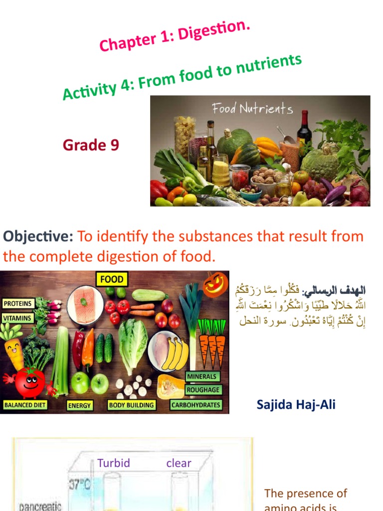 Understanding Food Digestion Process Pdf