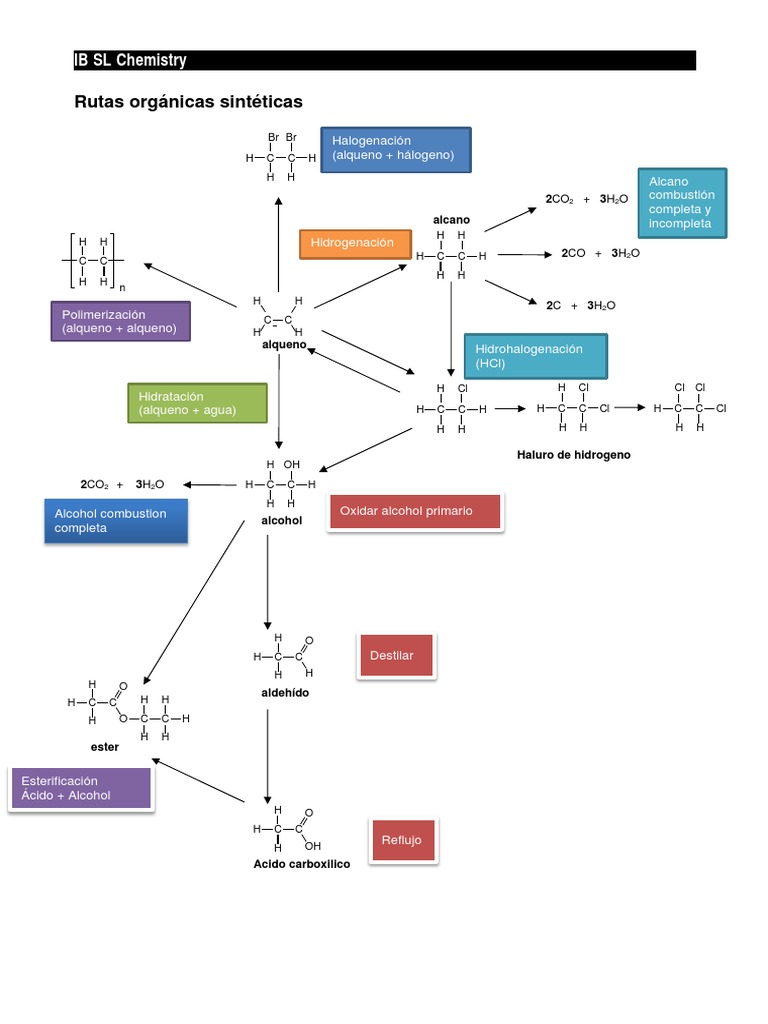 Esquema Rutas Orgánicas | PDF | Ester | Conjuntos de elementos químicos