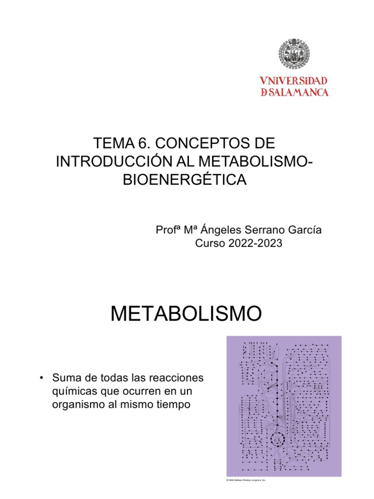 TEMA 6. Introduccion Al Metabolismo | PDF | Metabolismo | Trifosfato de ... TEMA 6. Introduccion Al Metabolismo | PDF | Metabolismo | Trifosfato de ...