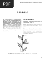 Guia Practica Cormo | PDF | Hoja | Tallo de la planta