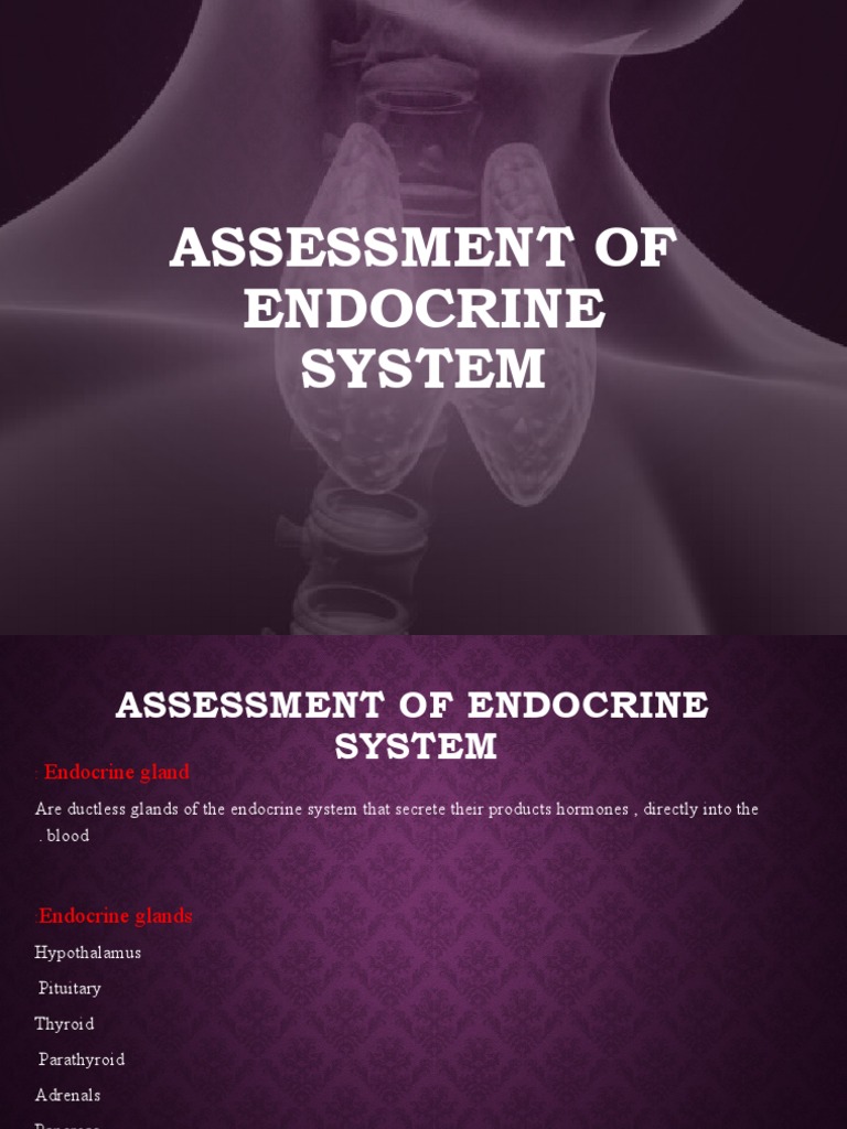 Endocrine System Assessment Guide | PDF | Endocrine System | Thyroid