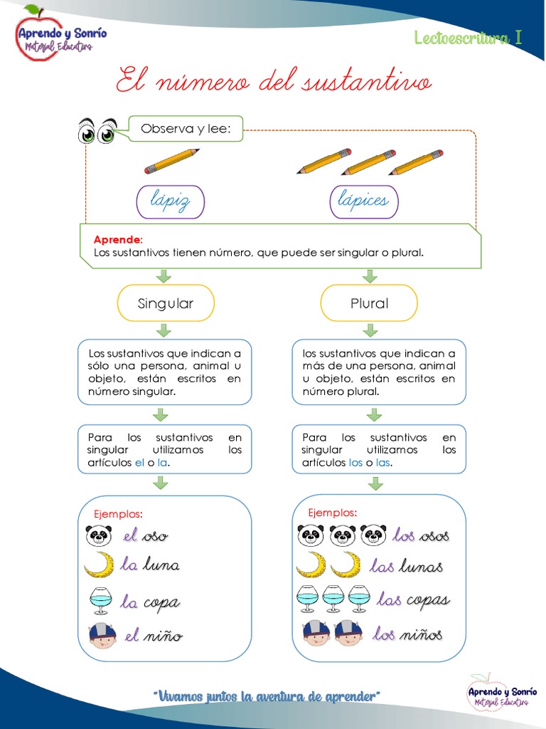 Singular y Plural | PDF | Numero Gramatical | Sustantivo