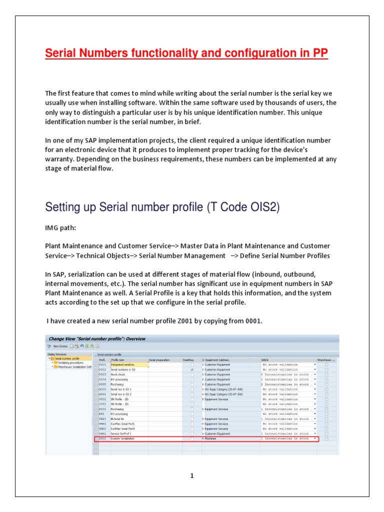 Serialization in PP | PDF | Software | Information