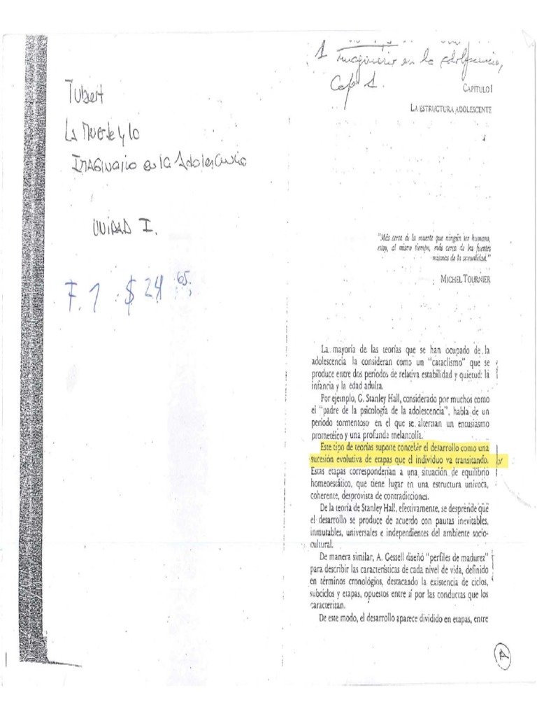 Tubert, S. La Muerte y Lo Imaginario en La Adolescencia. Buenos Aires ...
