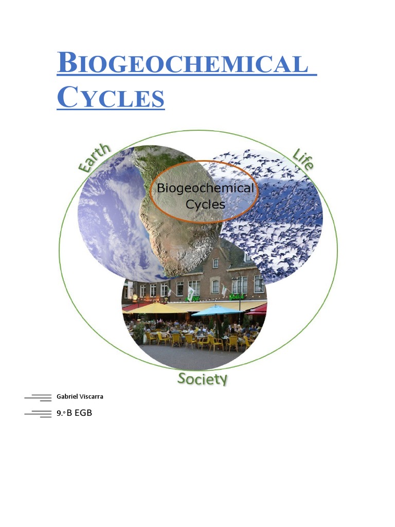 Biogeochemical Cycles | Download Free PDF | Sulfur | Ecosystem