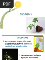 Tropisms - IGCSE Biology Revision Notes | PDF | Auxin | Root