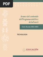 Avance Programa Sintético Fase 3 | PDF | Evaluación | Enseñando