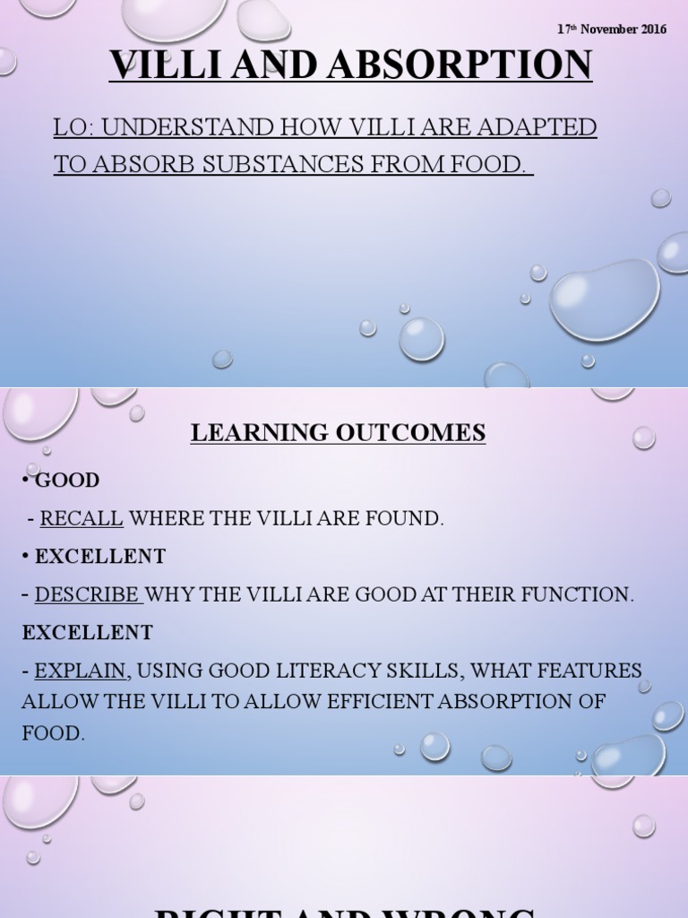 Villi and Absorption | PDF | Small Intestine | Digestion