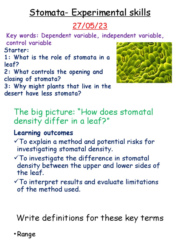 Stomata Experimental Skills | PDF | Stoma | Experiment