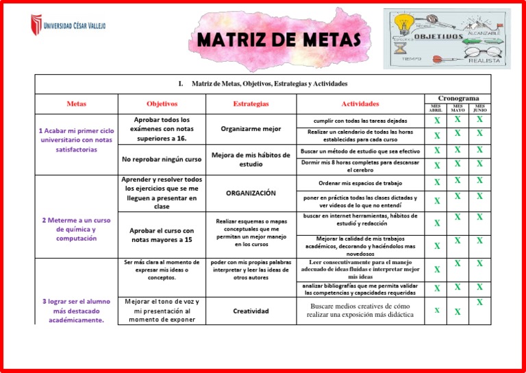 AVANCE MATRIZ DE METAS - Fabiola Alcantara | PDF | Cognición | Ciencia ...