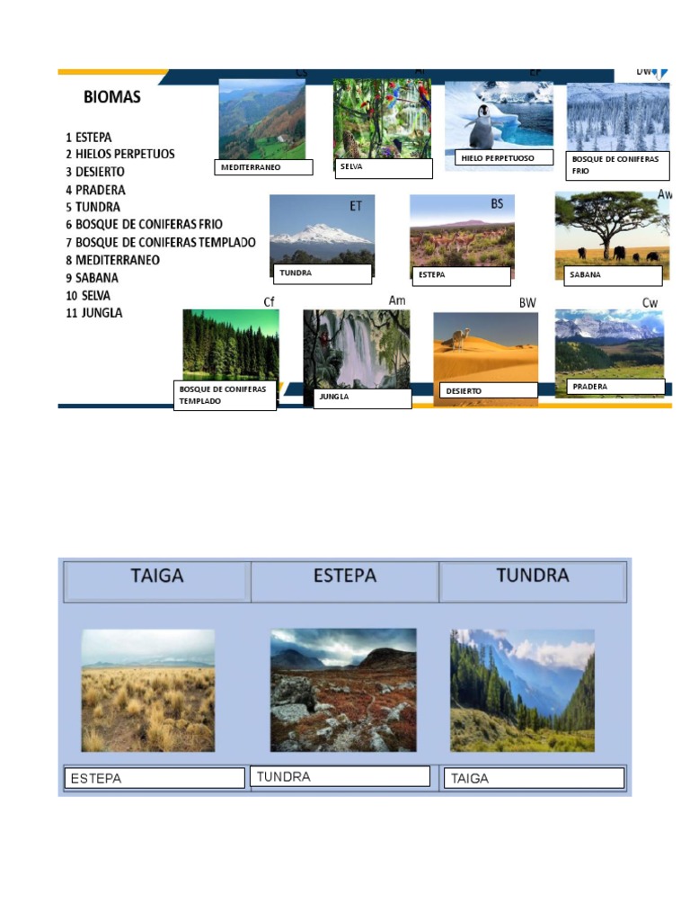 Biomas Practica | PDF