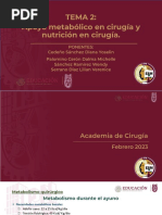 Check Up Básico Q45 en Chopo | PDF