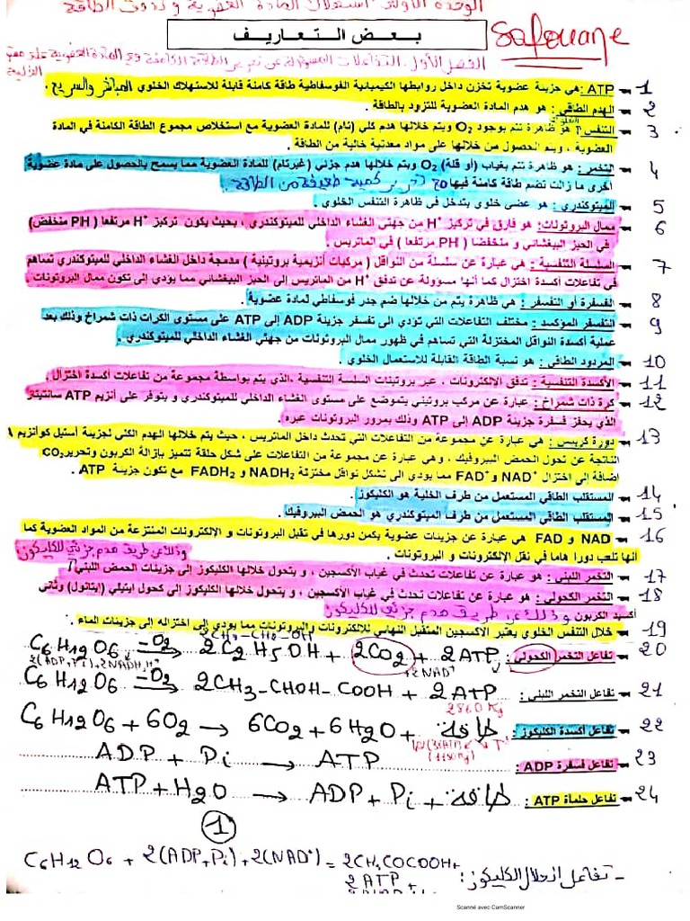 Cours SVT | PDF
