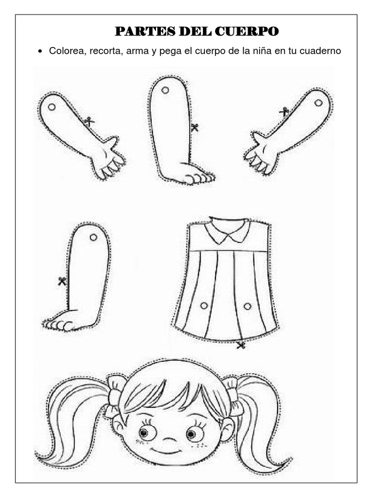 Ficha Del Cuerpo Partes Gruesas Pdf