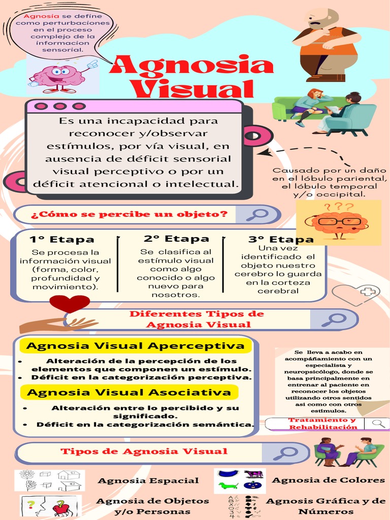 Infografia Agnosia Visual | PDF | Percepción visual | Procesos mentales