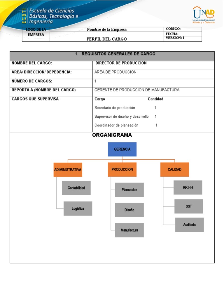 Plantilla Descripción de Cargo | PDF | Calidad (comercial) | Toma de ...