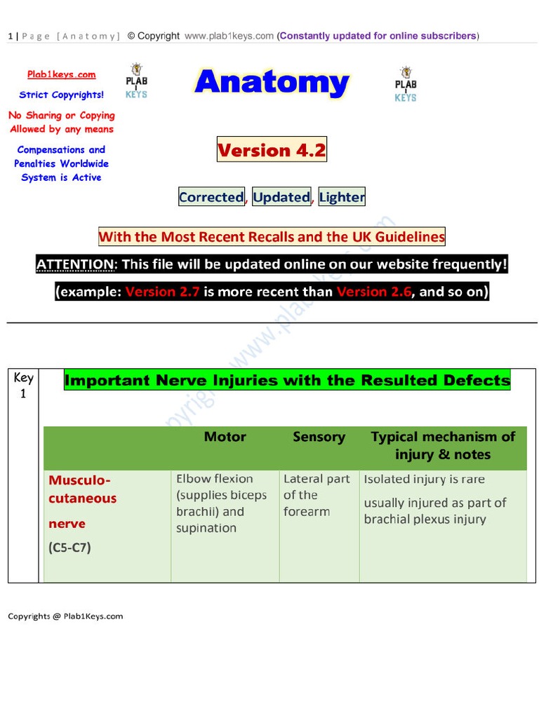 Plab Keys 01 Anatomy 4.2 | PDF