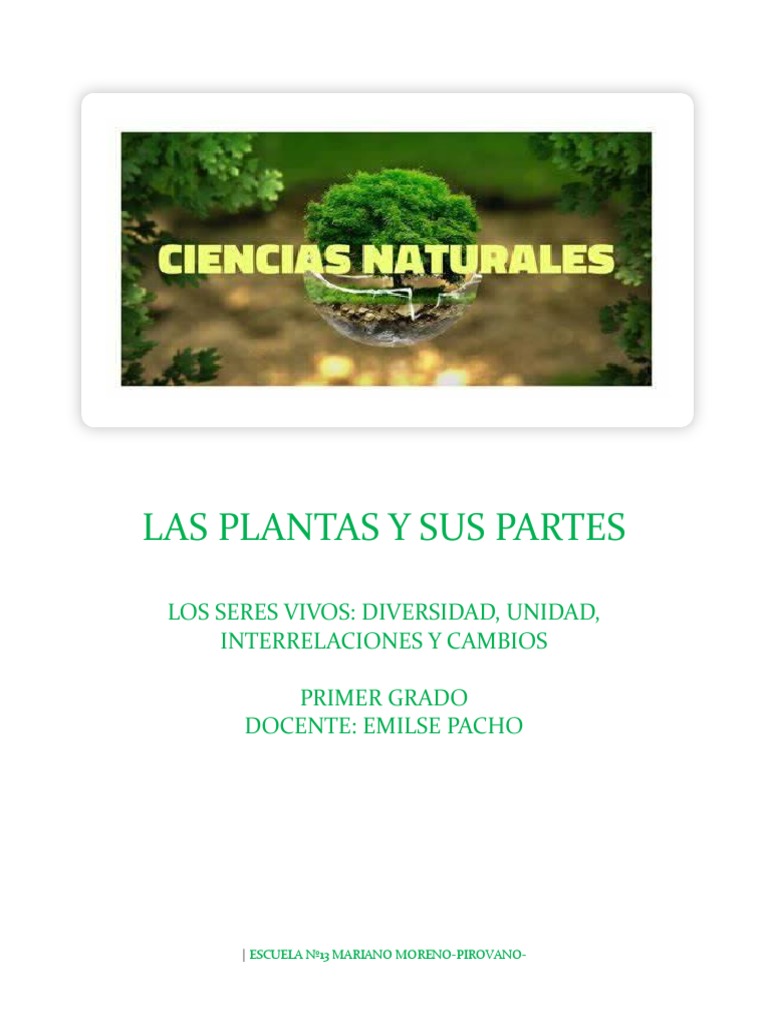 Partes y Necesidades de las Plantas | PDF | Plantas | Botánica