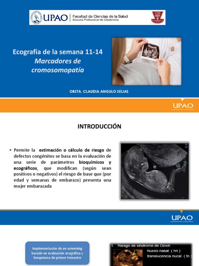 La Ecografía de Las 11-14 Semanas | PDF | Especialidades Medicas | Reproducción humana