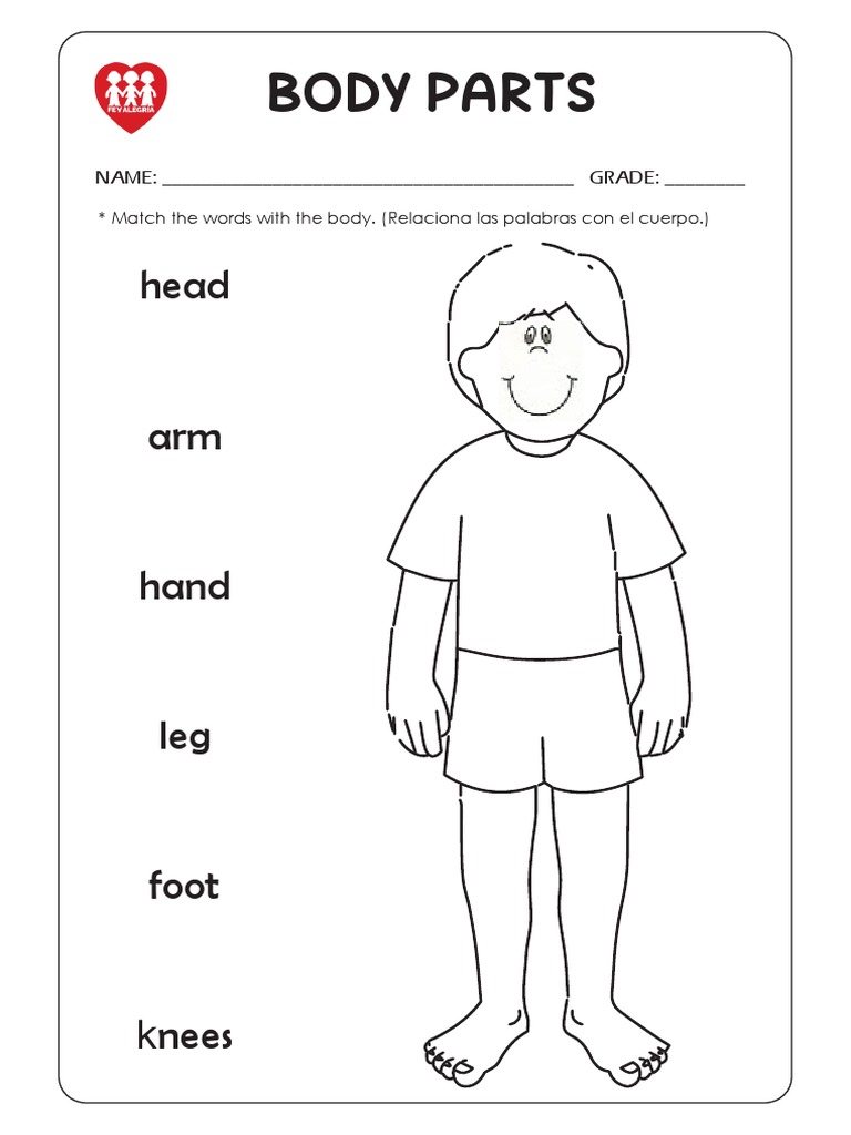 Body Parts | PDF