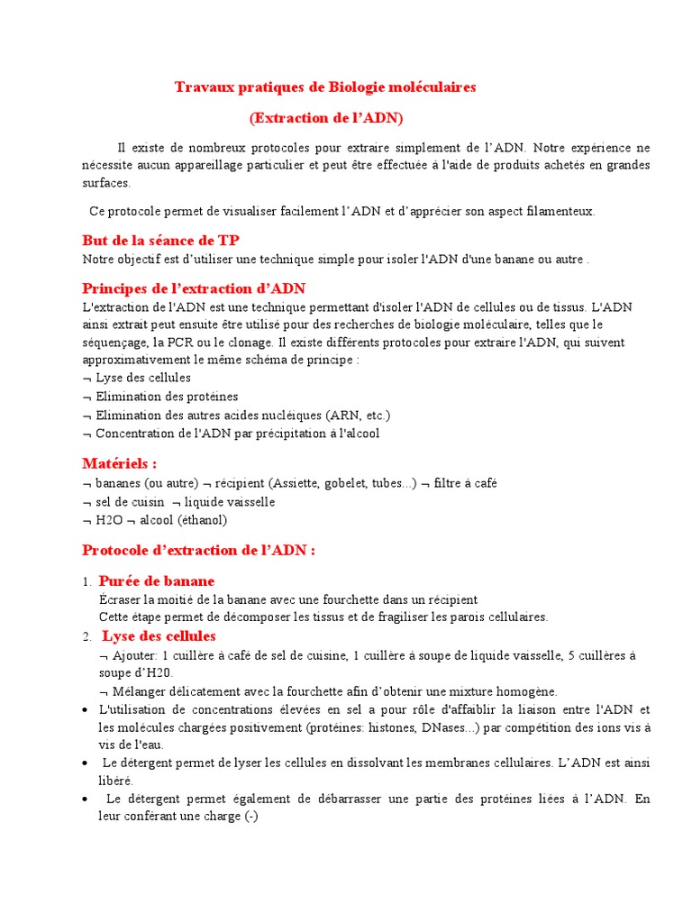 Extraction d'ADN de banane en TP | PDF | ADN | Biologie moléculaire