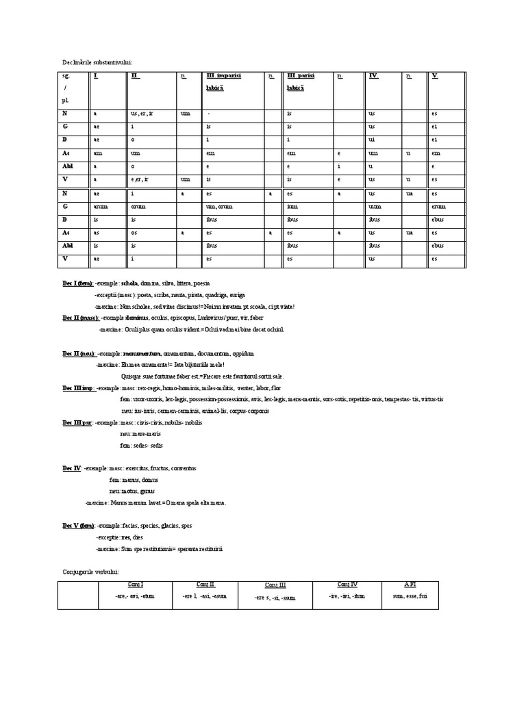 Sinteza Gramatica Latina | PDF