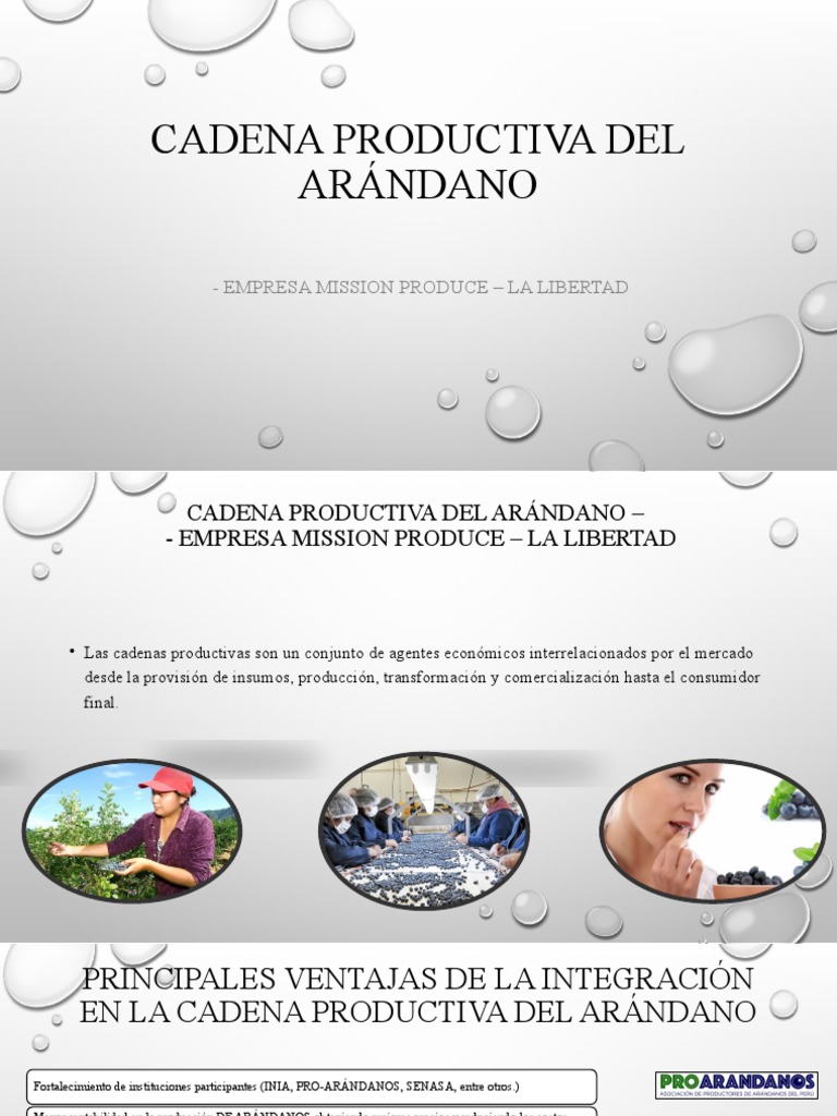 Cadena Productiva Del Arándano | PDF