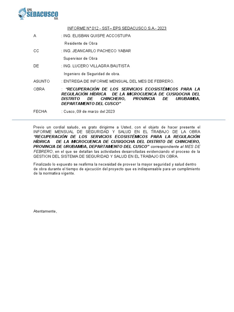 Inf 08 Inf Mensual Enero | PDF
