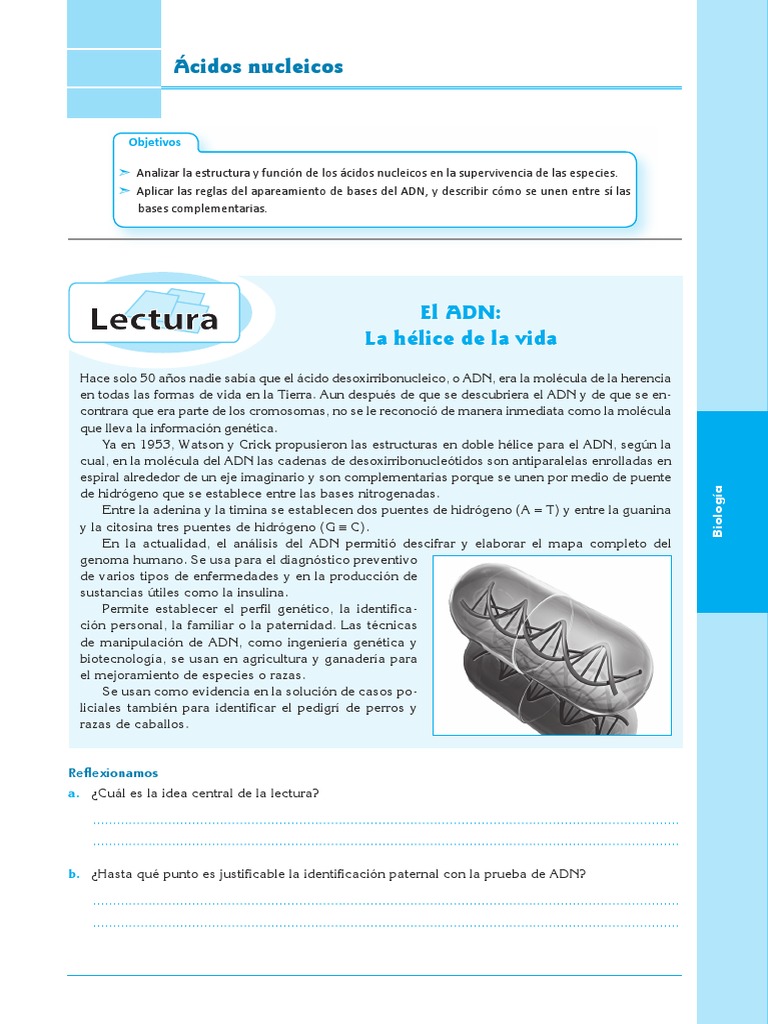 Tema Acidos Nucleicos | PDF | Adn | Genética