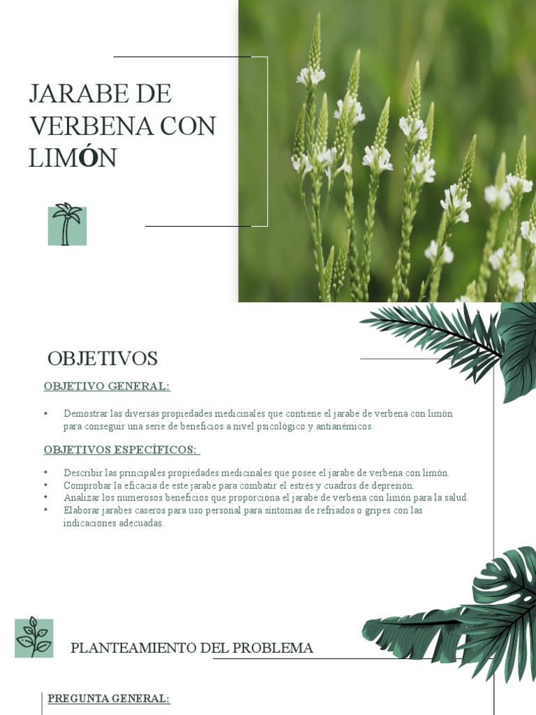 Jarabe de Verbena Con Limón. | PDF | Depresión (estado de ánimo) | Medicina CLINICA