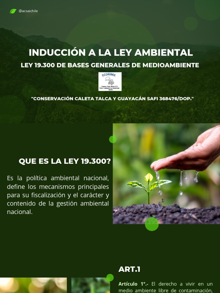 Ley 19300 | PDF | Entorno natural | Contaminación