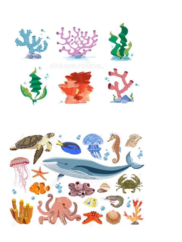 Flora y Fauna Marina | PDF