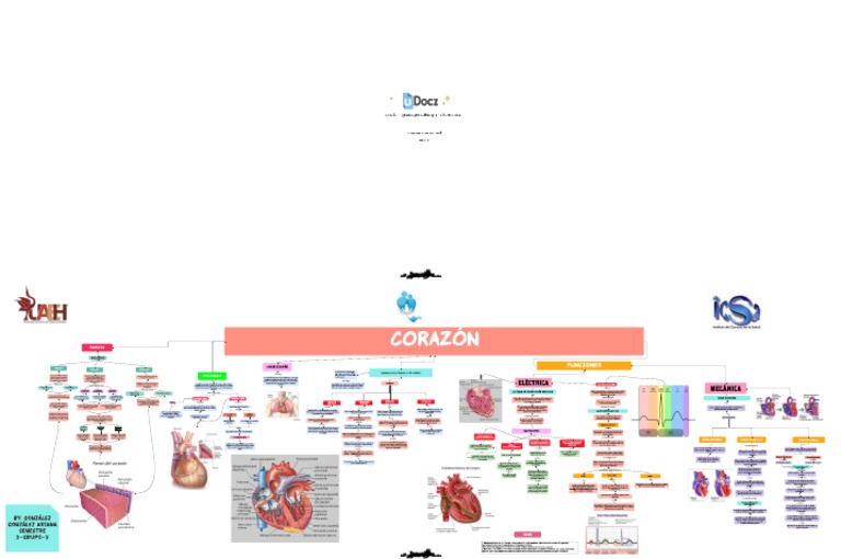 Corazon Mapa Conceptual 100217 Downloable 3246883 | PDF