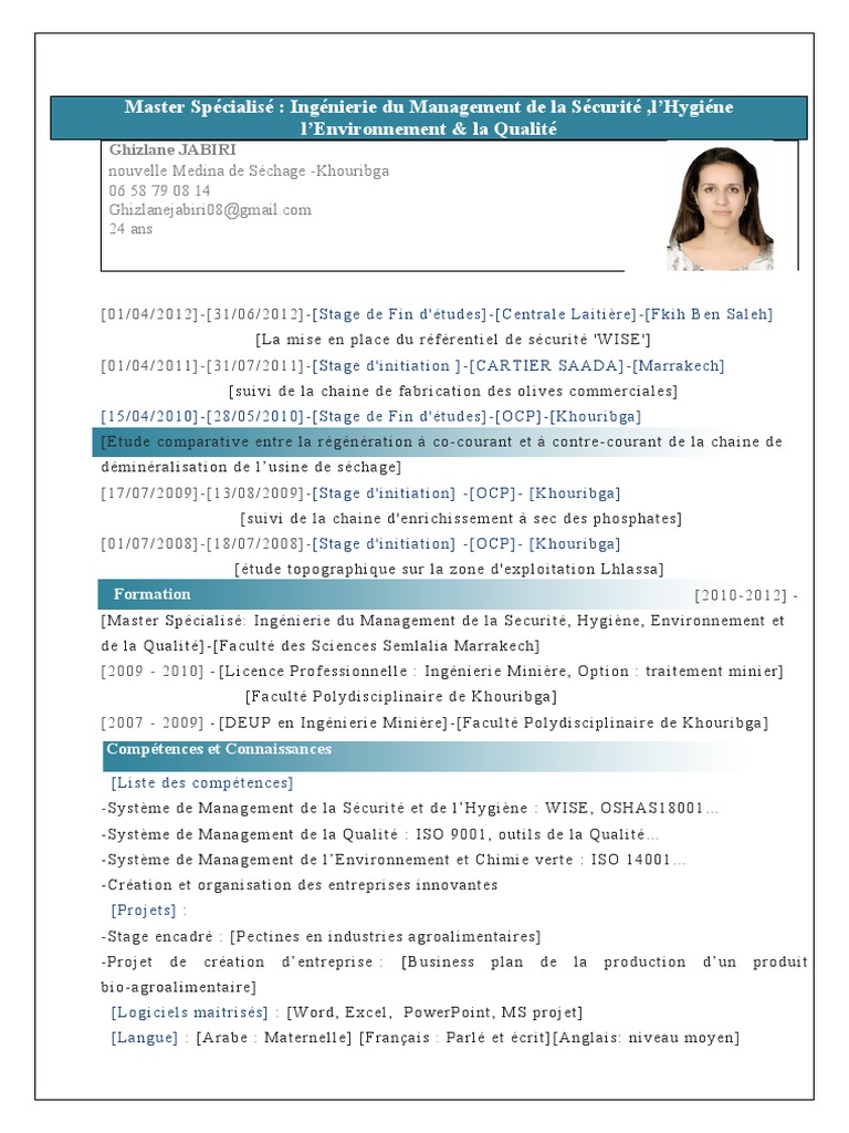 cv french | PDF