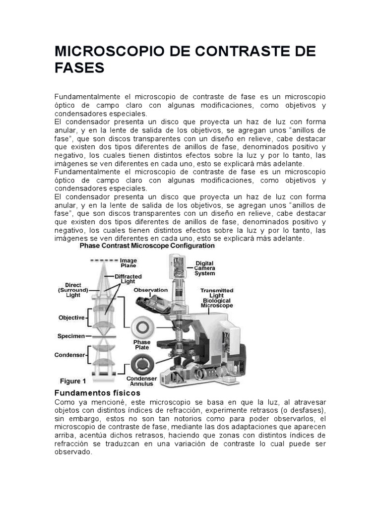 Microscopio de Contraste de Fases | PDF | Ligero | Microscopio