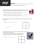 Incomplete & Codominance Practice Problems (2025) | PDF | Dominance ...