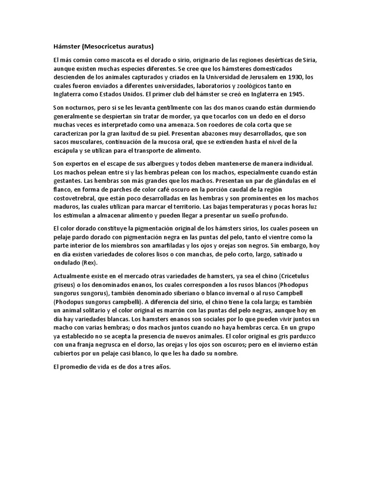 Hámster | PDF