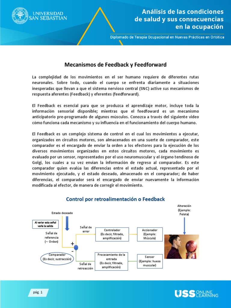 Mecanismos de Feedback y Feedforward | PDF